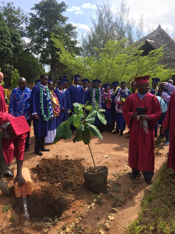 Tree Planting Tradition | theexpandingshrink